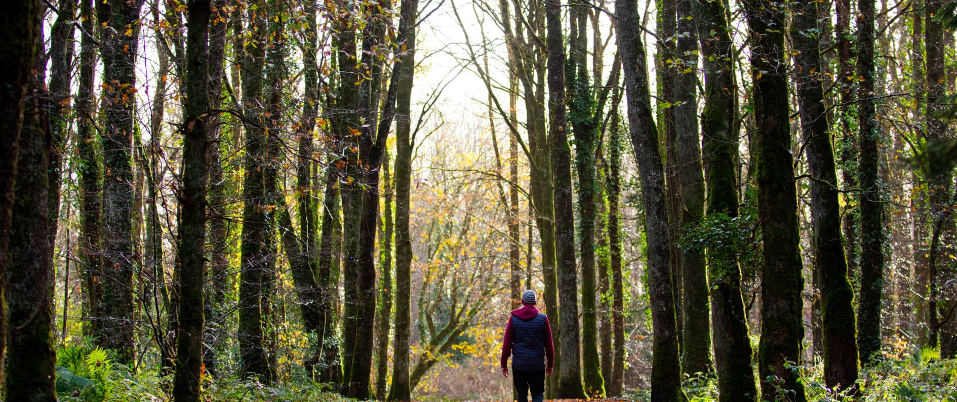 Team Building Activities Cavan | Farnham Estate Resort Venues